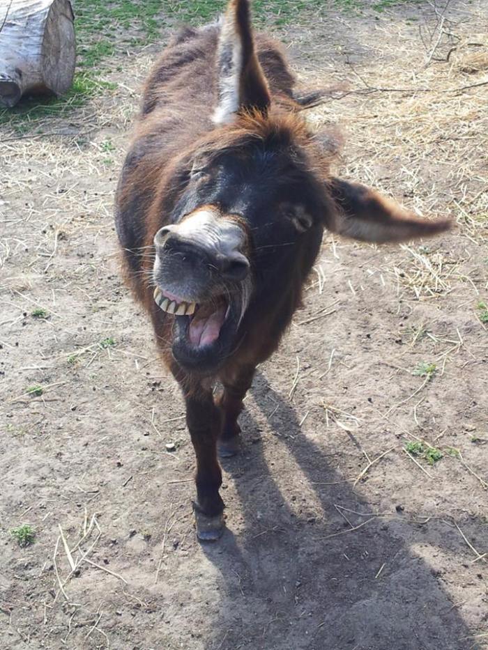 Bite-sized Tips No. 15: Spellings Part 12 – Pesky Hyphens – Tranix ...